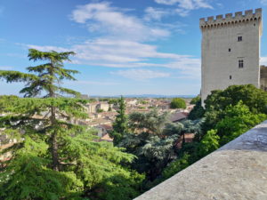 Visiter Avignon - Les 11 lieux à voir absolument